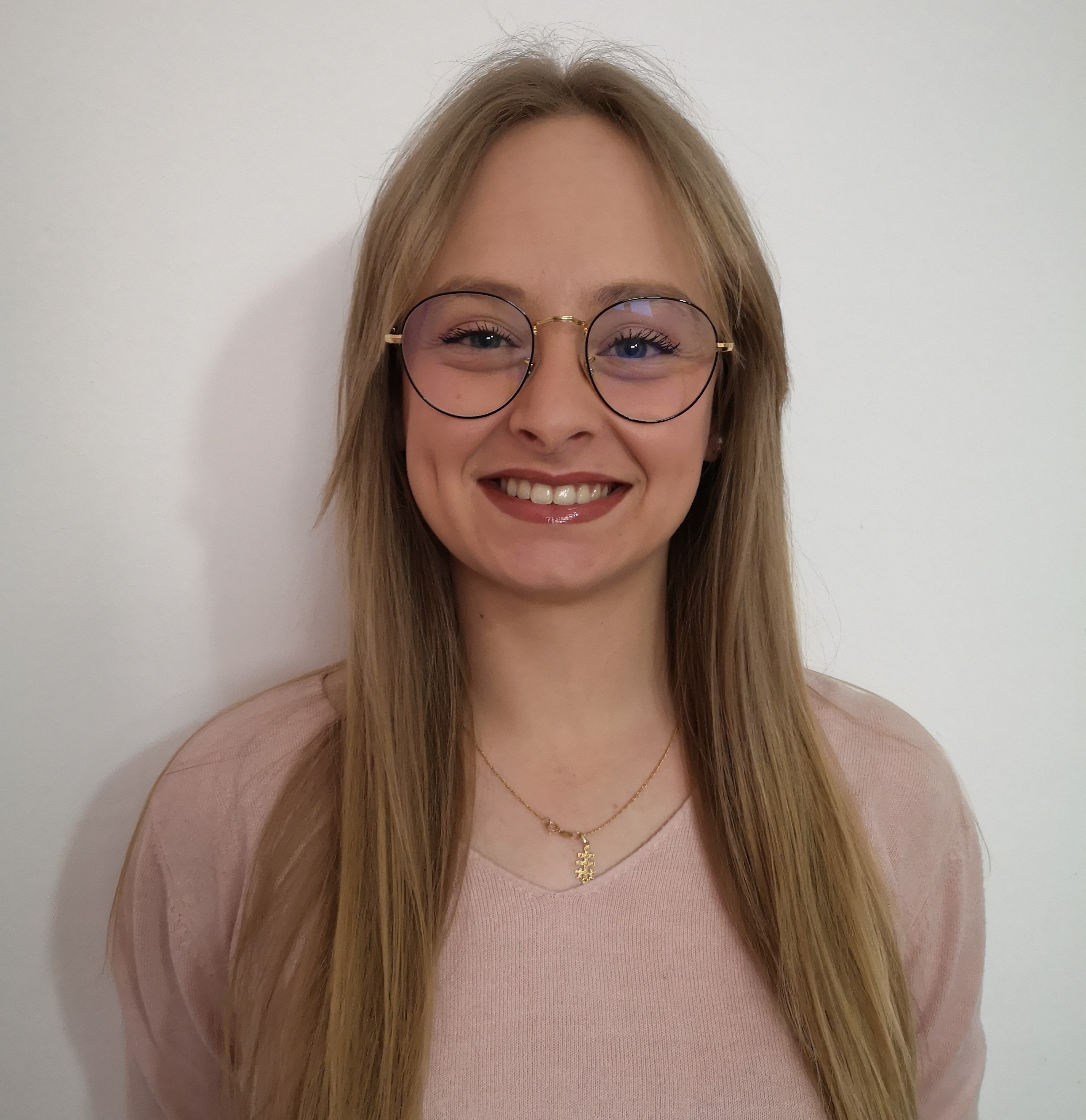 Framework Go-Gis | Index