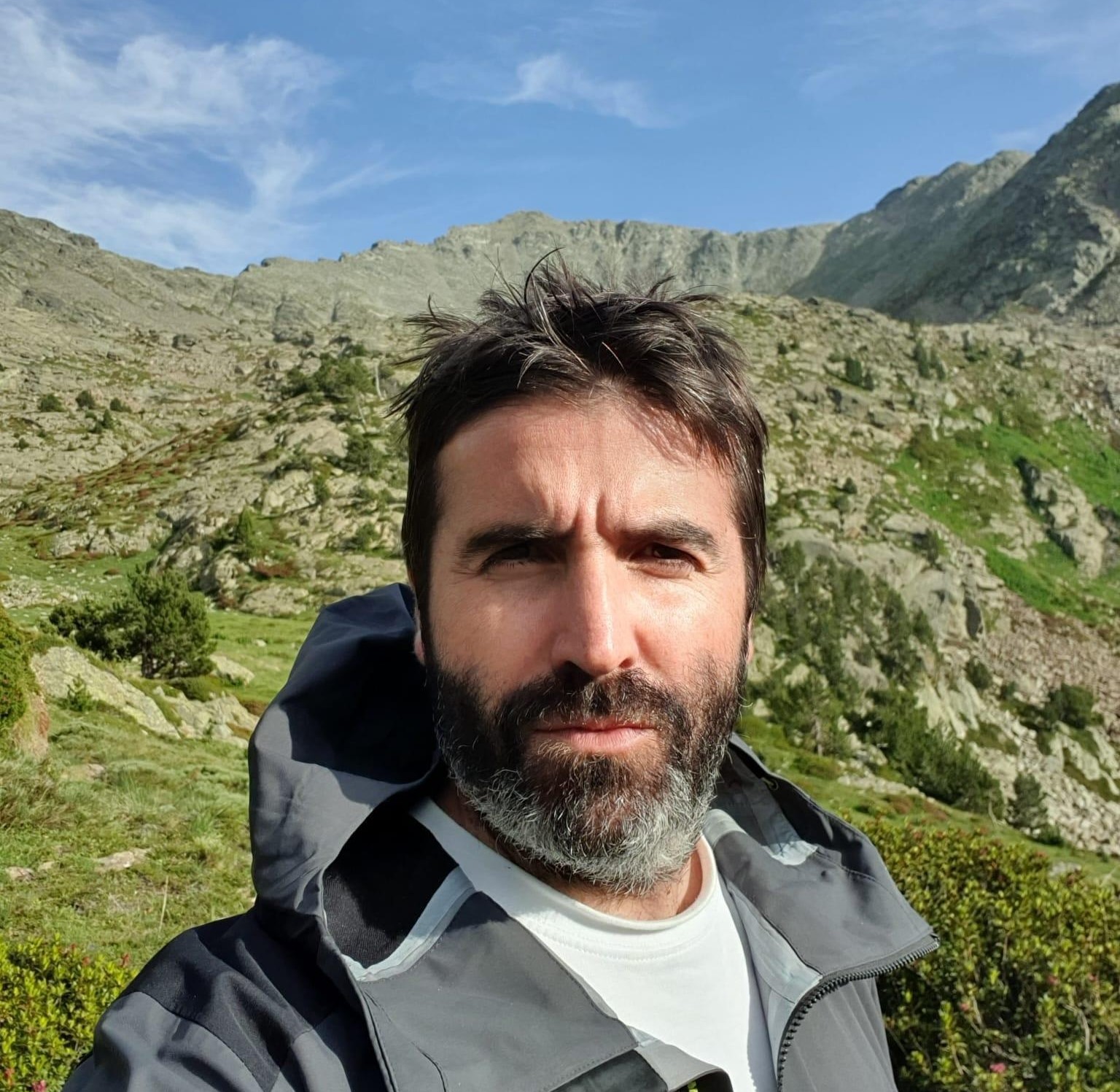 Framework Go-Gis | Index